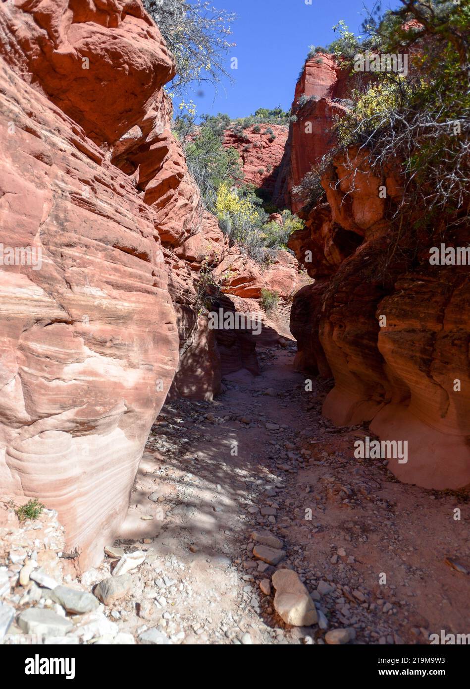 Explore slot canyons hi-res stock photography and images - Alamy