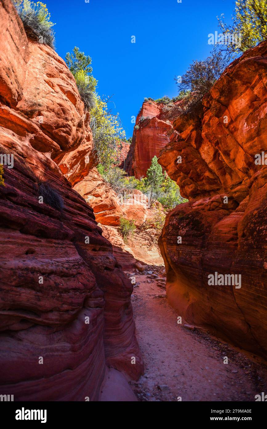 Orderville hi-res stock photography and images - Alamy