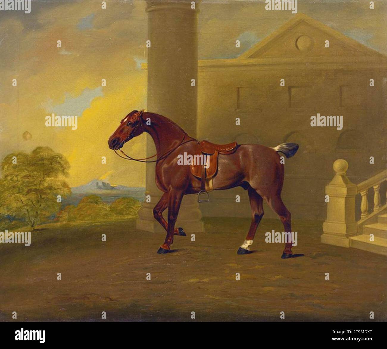 Roan Hack - by Benjamin Marshall Stock Photo - Alamy