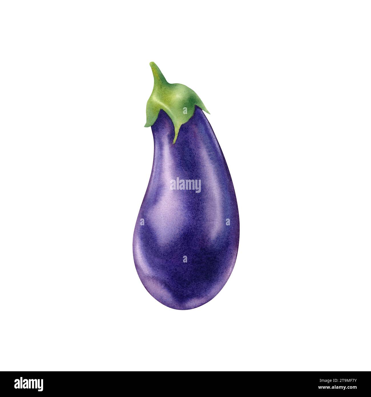 Eggplant Template