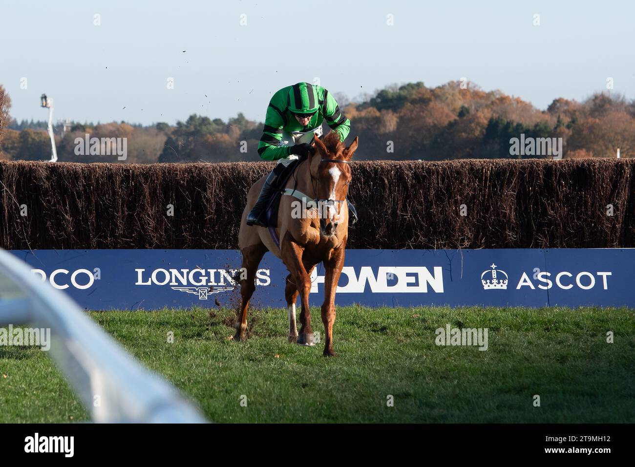 Ascot, Berkshire, UK. 25th November, 2023. Horse Llandinabo Lad ridden ...