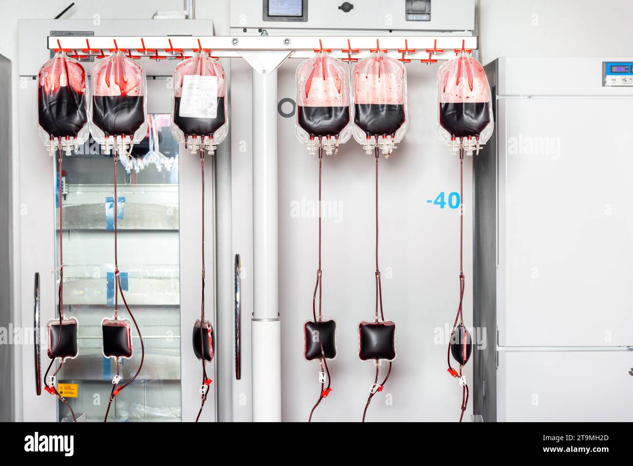 Bags of blood against the background of medical refrigerators Stock ...