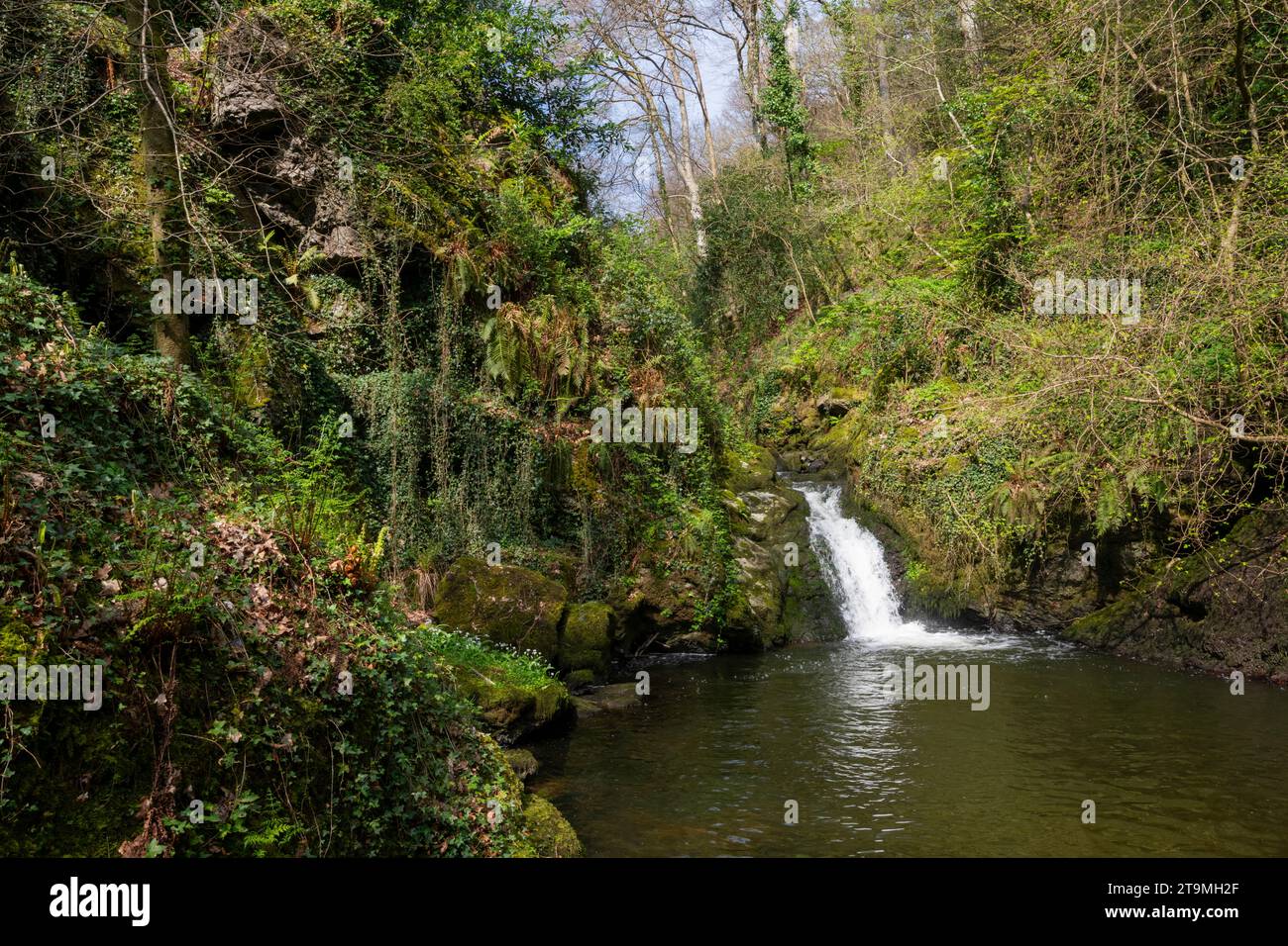 Plas Cadnant Hidden Gardens, Menai Bridge, Anglesey, North Wales Stock ...