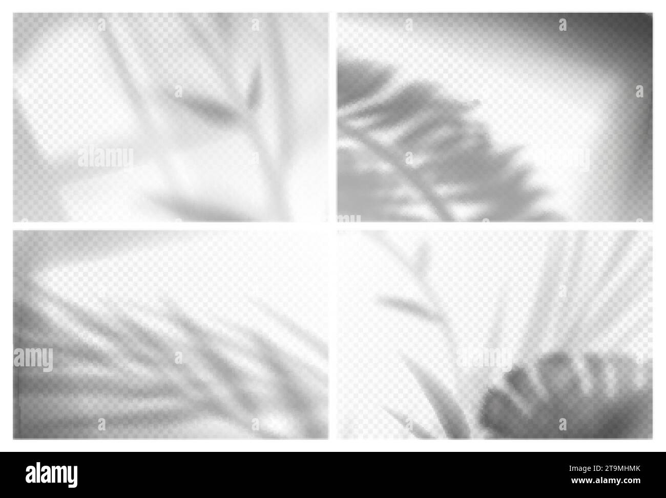 Realistic palm and monstera leaves with shadow overlay effects on ...