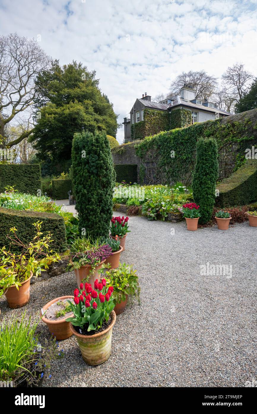 Plas Cadnant Hidden Gardens, Menai Bridge, Anglesey, North Wales Stock ...
