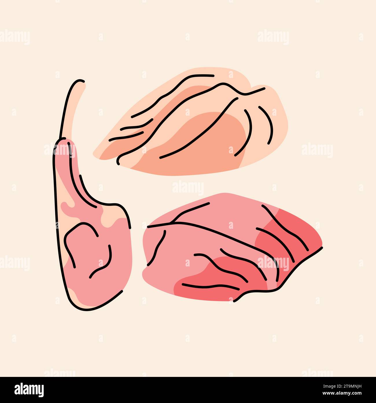 Hand drawn gastronomic meat products color element. Cartoon unprocessed ...