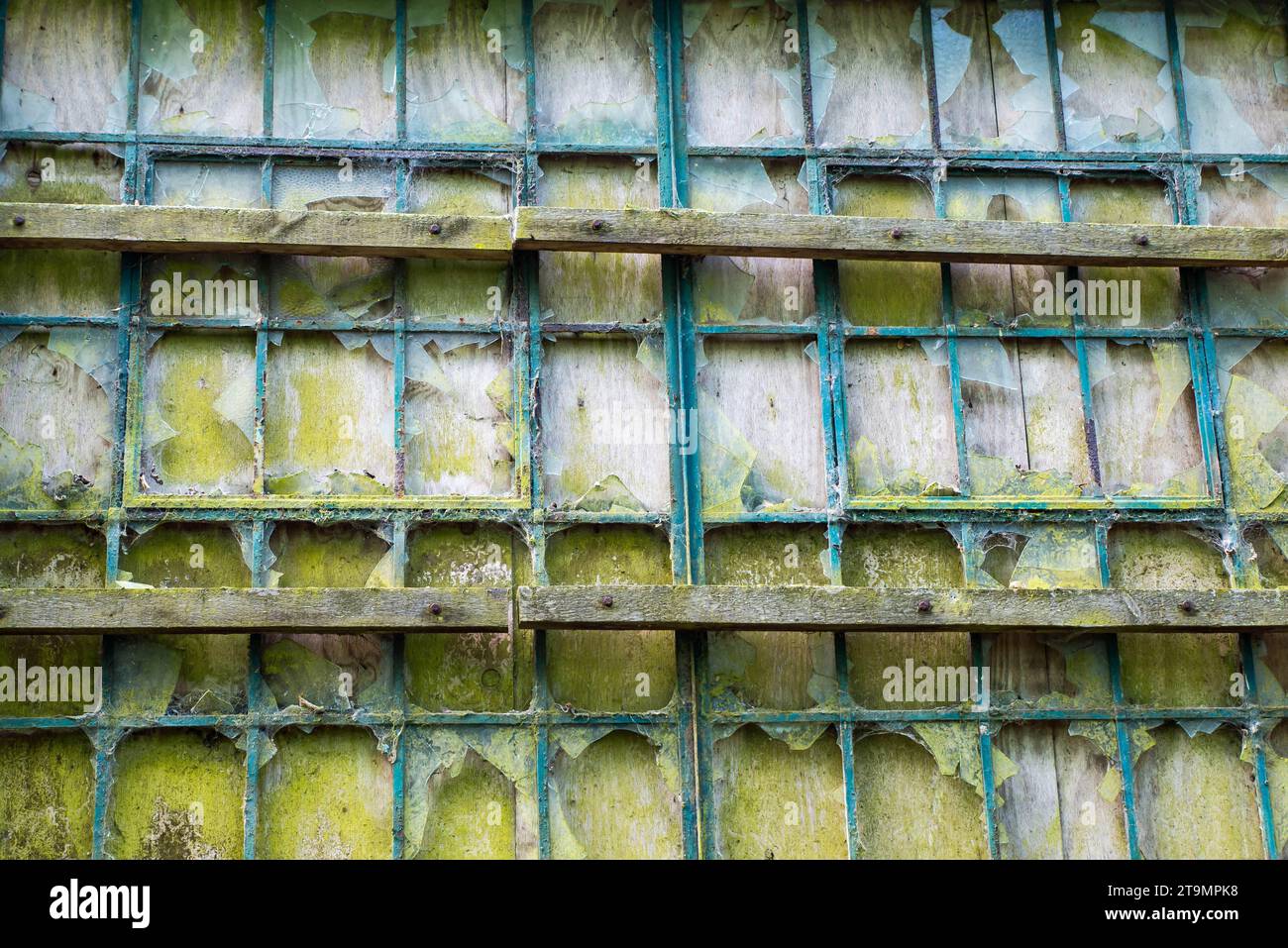 Boarded up, broken windows with green mould in a disused factory Stock ...