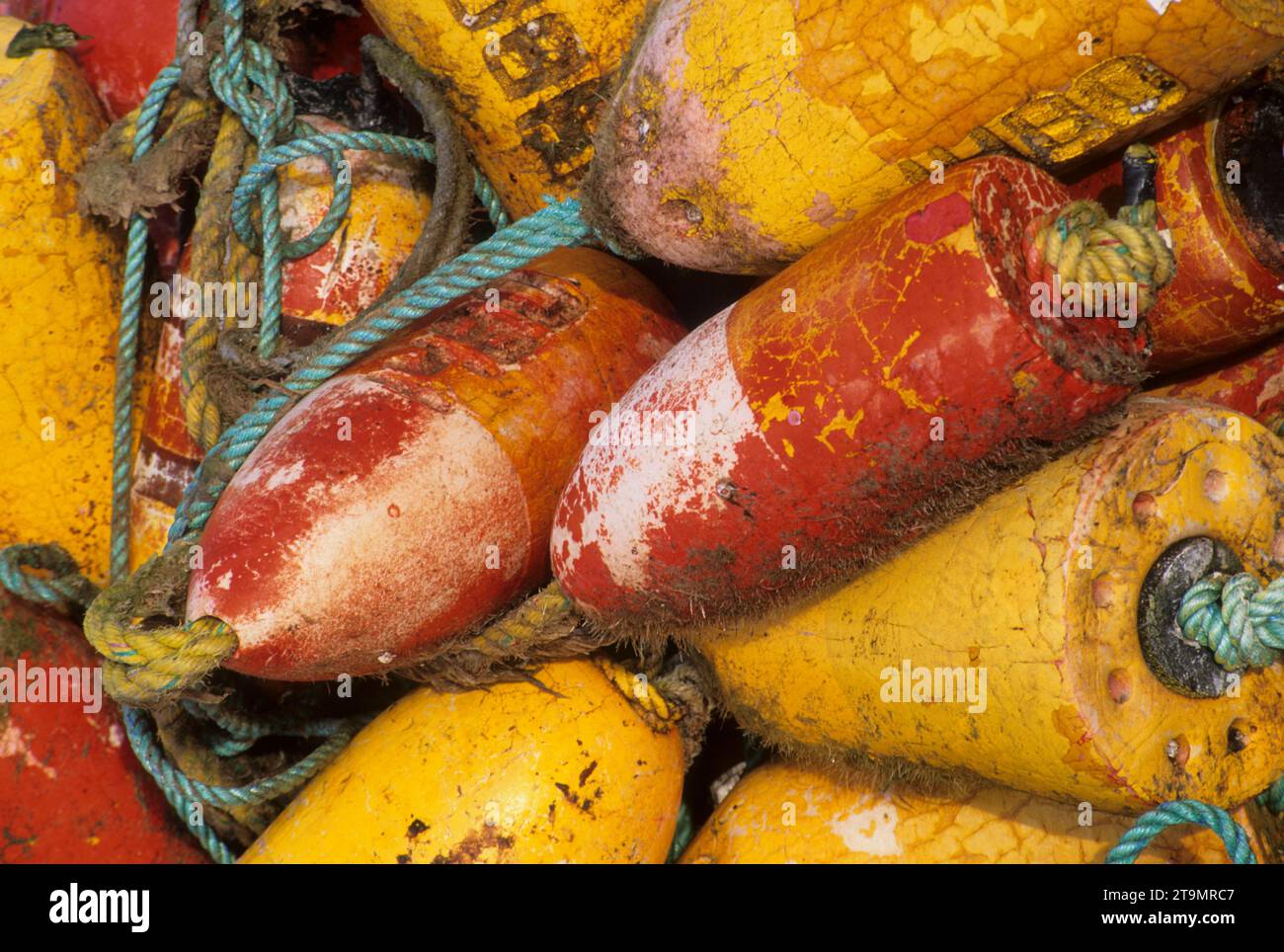 Fishing buoys, Newport, Oregon Stock Photo - Alamy