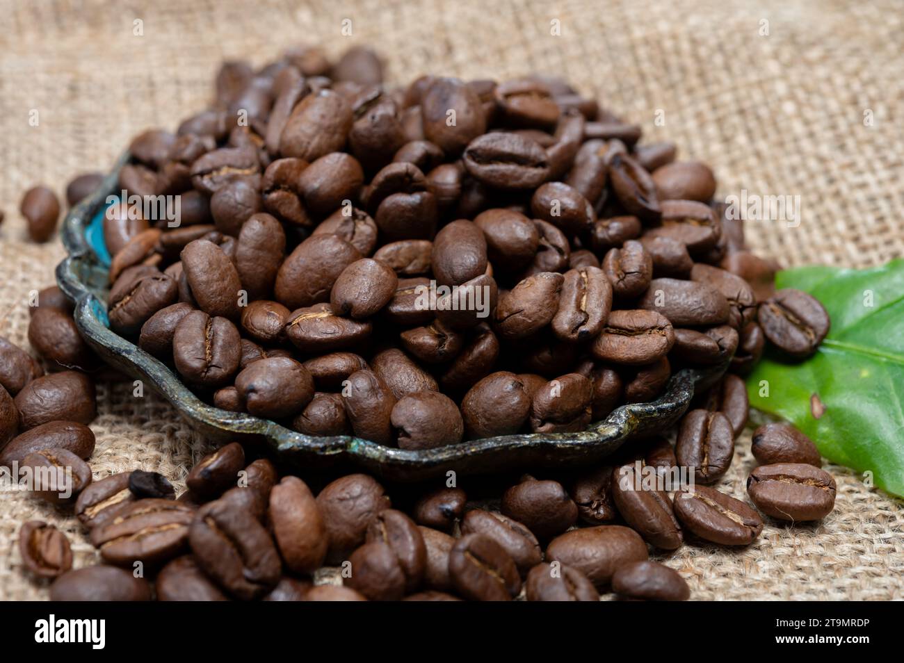 Rwanda coffee plantation hi-res stock photography and images - Alamy