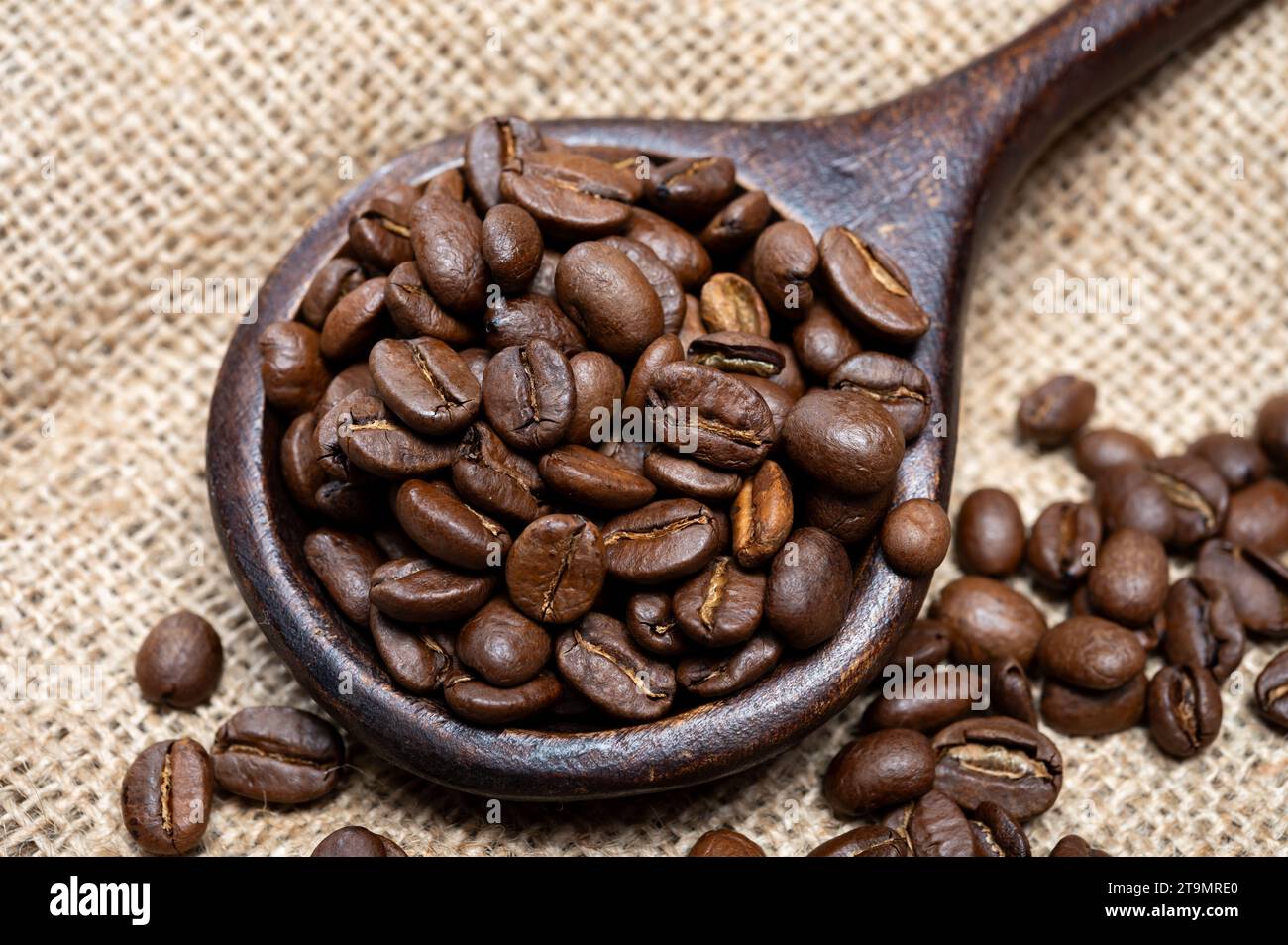 Arabica brown roasted coffee beans from Africa coffee producing region ...