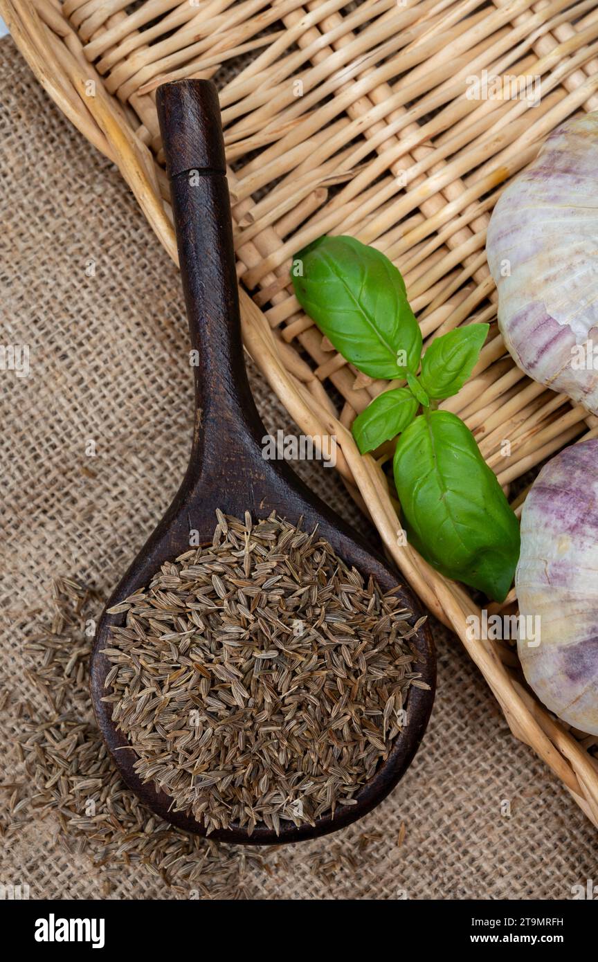 Kitchen herbs and seeds collection, aromatic dried seasoning cumin ...