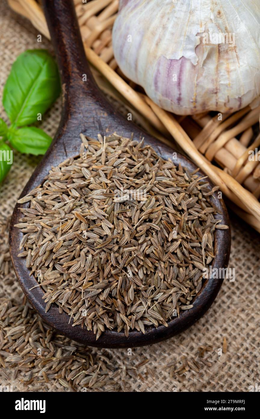 Kitchen herbs and seeds collection, aromatic dried seasoning cumin ...