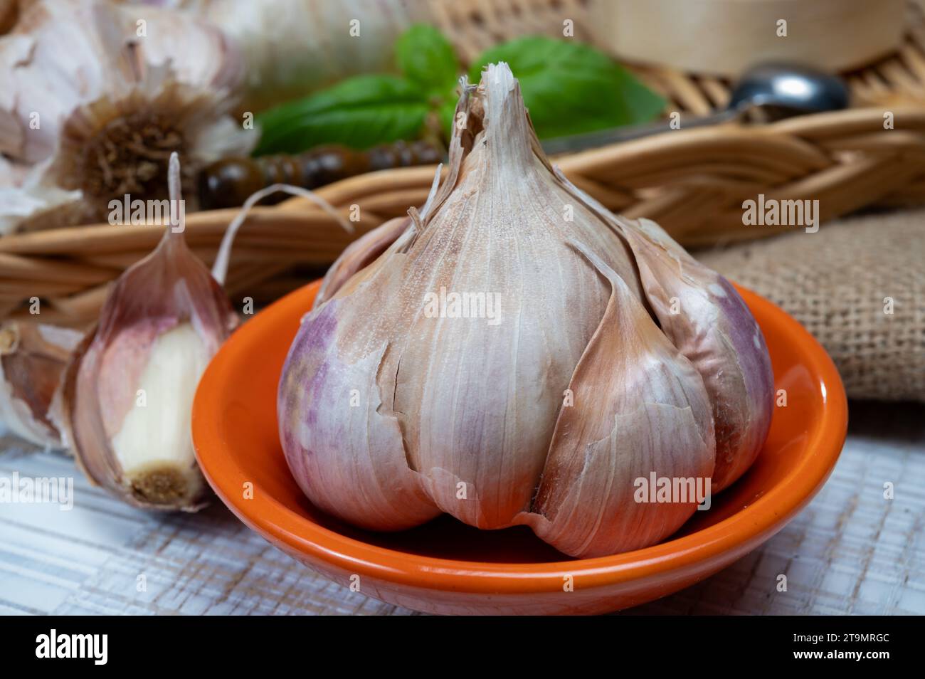 Cooking with dried French garlic. Red garlic. Aromatic violet garlic ...