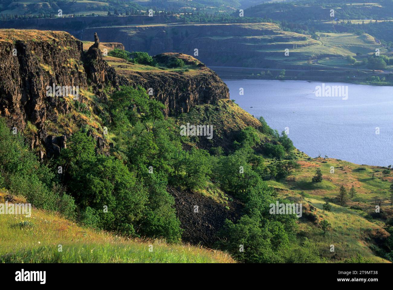 Columbia River view, Tom McCall Preserve, Columbia River Gorge National ...