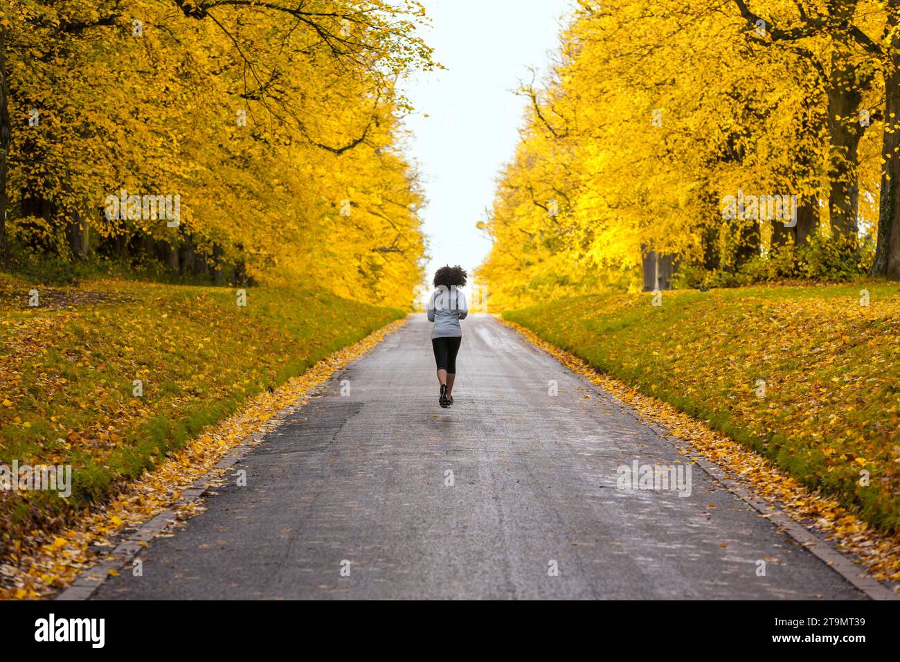 Beautiful biracial mixed race African American young woman girl ...