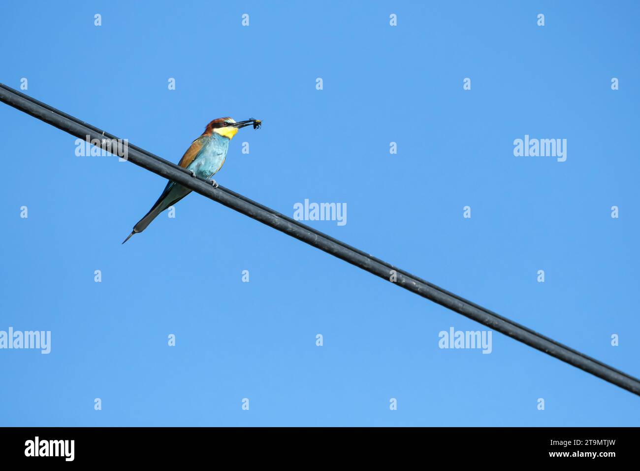 Bea colours hi-res stock photography and images - Alamy