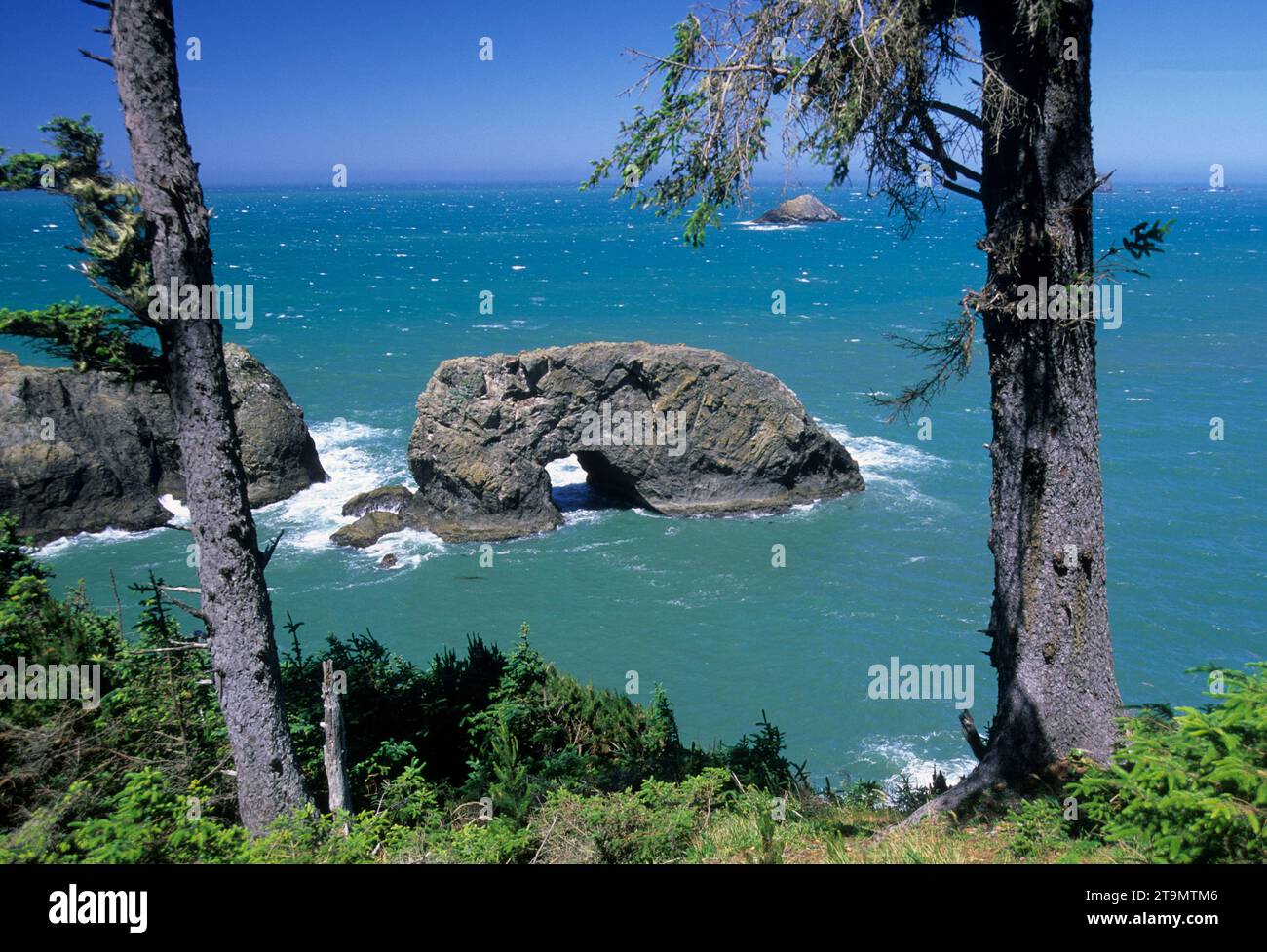 View from Arch Rock Viewpoint, Samuel Boardman State Park, Oregon Stock ...