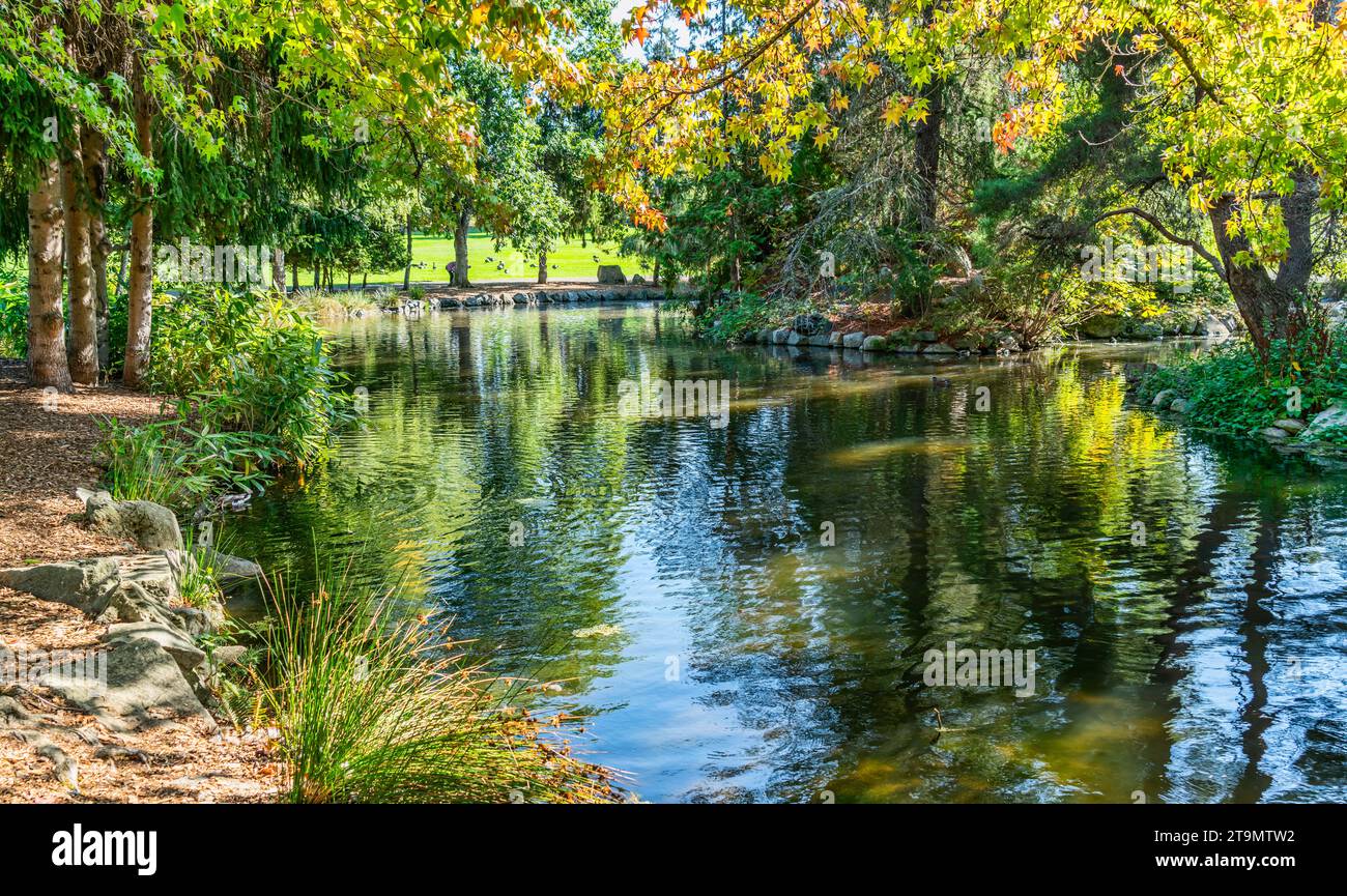 A view of a pond at Point Defiance Park in Tacoma, Washington Stock ...