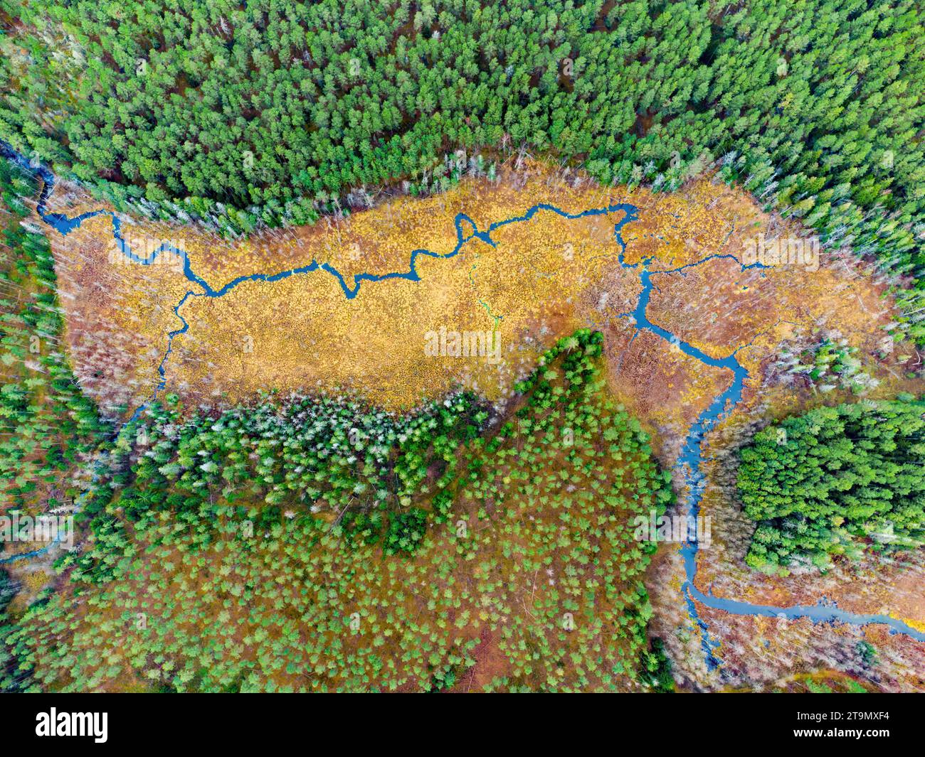 Aerial view of the bends and loops of the ''Versminis'' river in ...