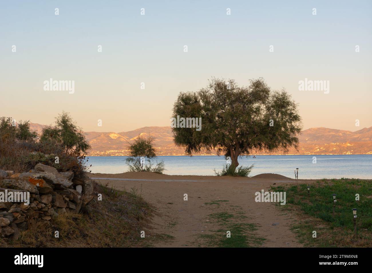 Logaras beach at the eastern coast of the island of Paros. Cyclades ...