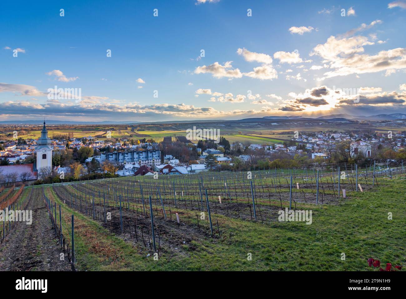 Bad Vöslau: vineyard, church Gainfarn, basin Wiener Becken, mountain ...