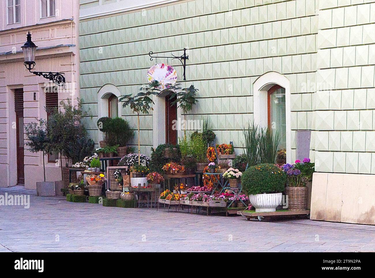 Discover the quaint allure of a charming street flower shop nestled in ...