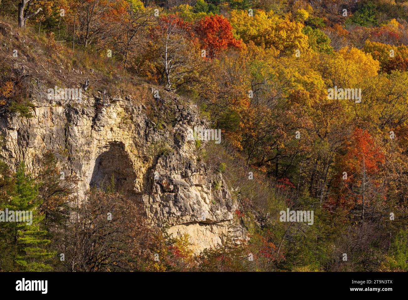 A cliff on a hillside during autumn Stock Photo - Alamy