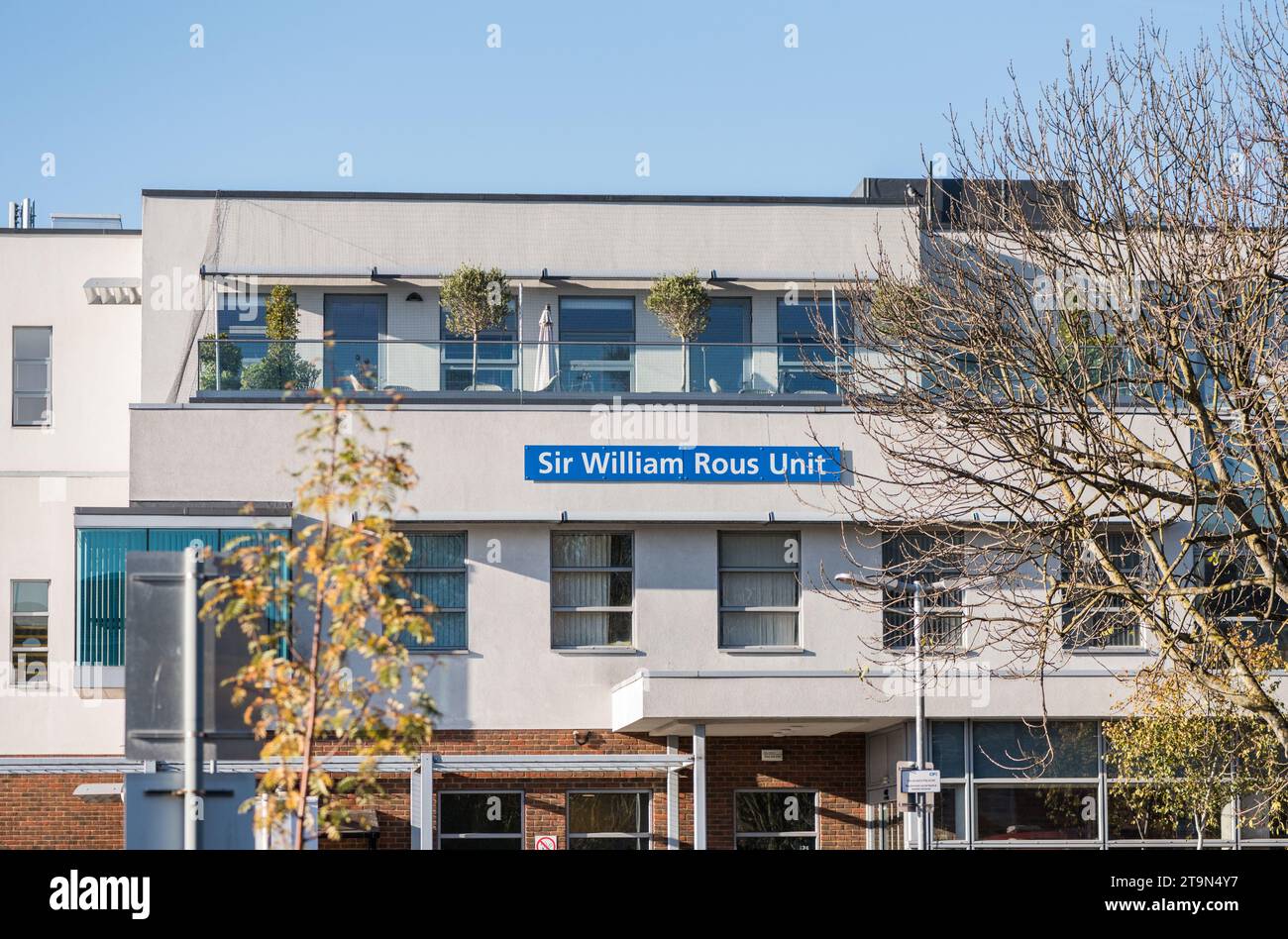 Shade tree modern building hi-res stock photography and images - Alamy