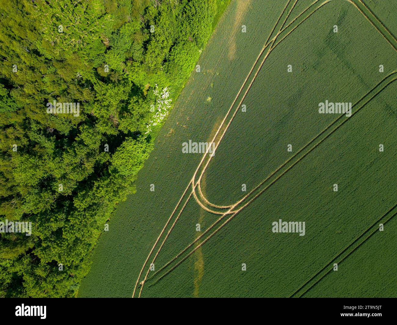 Transecting lines hi-res stock photography and images - Alamy