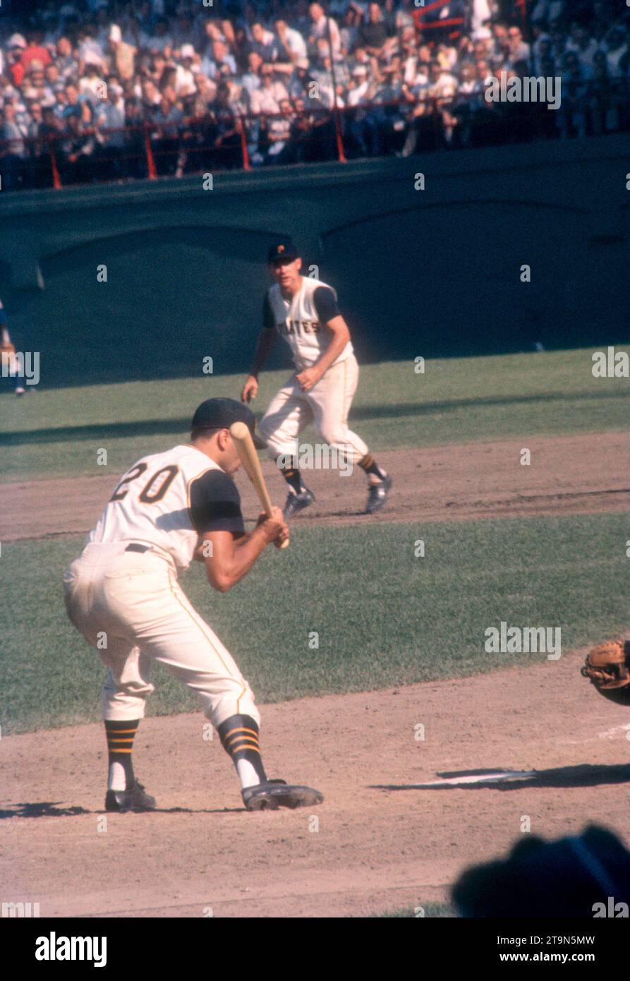 PITTSBURGH, PA - JUNE 26: Gino Cimoli #20 of the Pittsburgh Pirates ...
