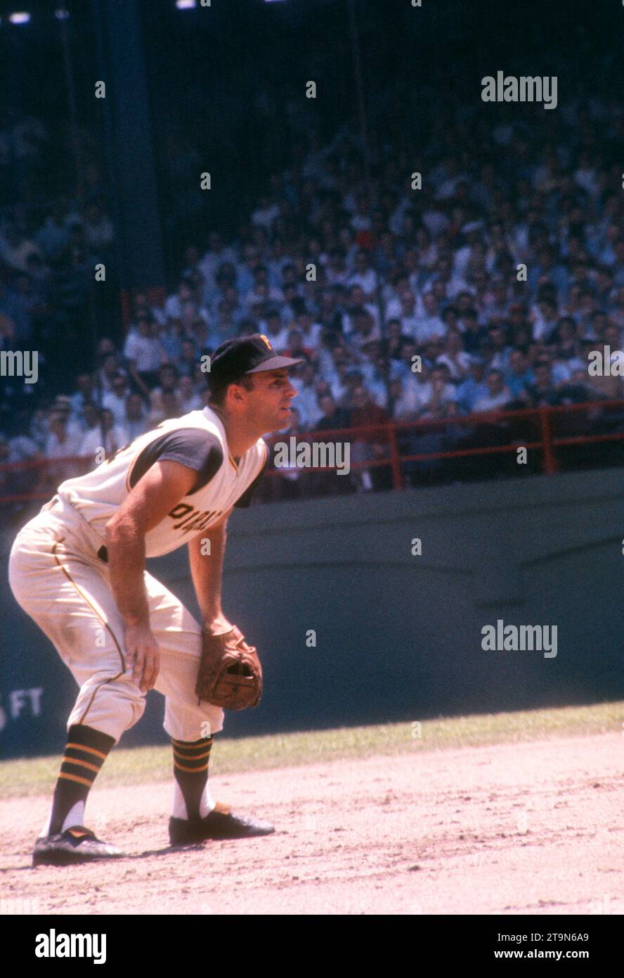 PITTSBURGH, PA - JUNE 26: Shortstop Dick Groat #24 of the Pittsburgh ...