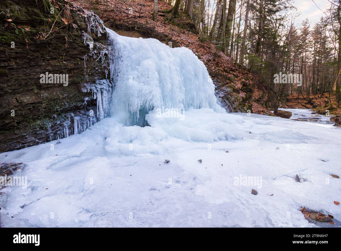 Zen frozen ice snow tree hi-res stock photography and images - Alamy