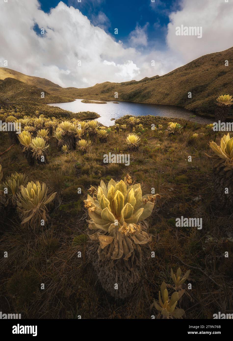 Guardián del agua hi-res stock photography and images - Alamy