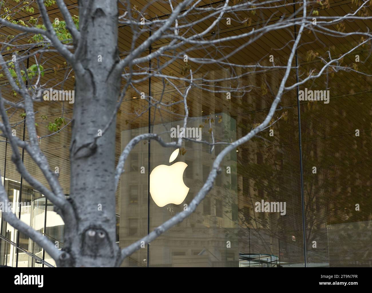 Chicago, USA - June 04, 2018: Apple logo on the Apple store on Michigan ...