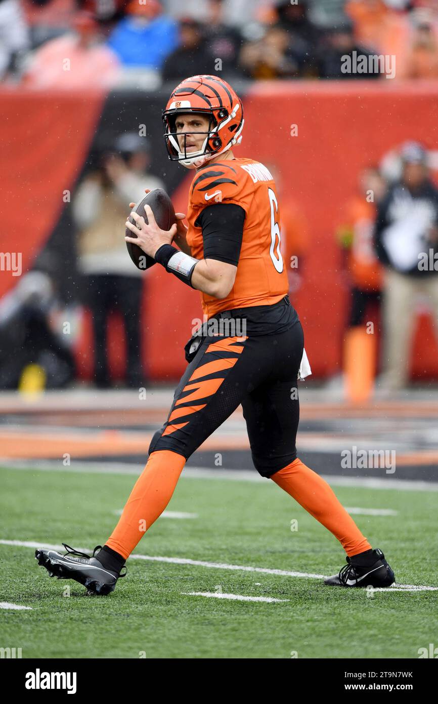 Cincinnati Bengals quarterback Jake Browning (6) drops back to pass in ...