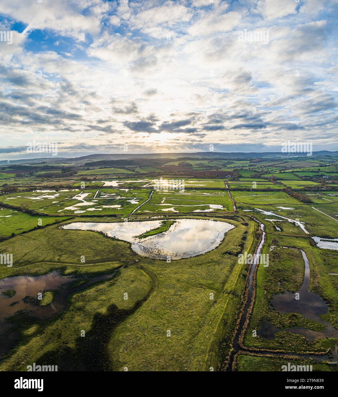 Panorama over Wetlands and Marshes in RSPB Exminster and Powderham ...