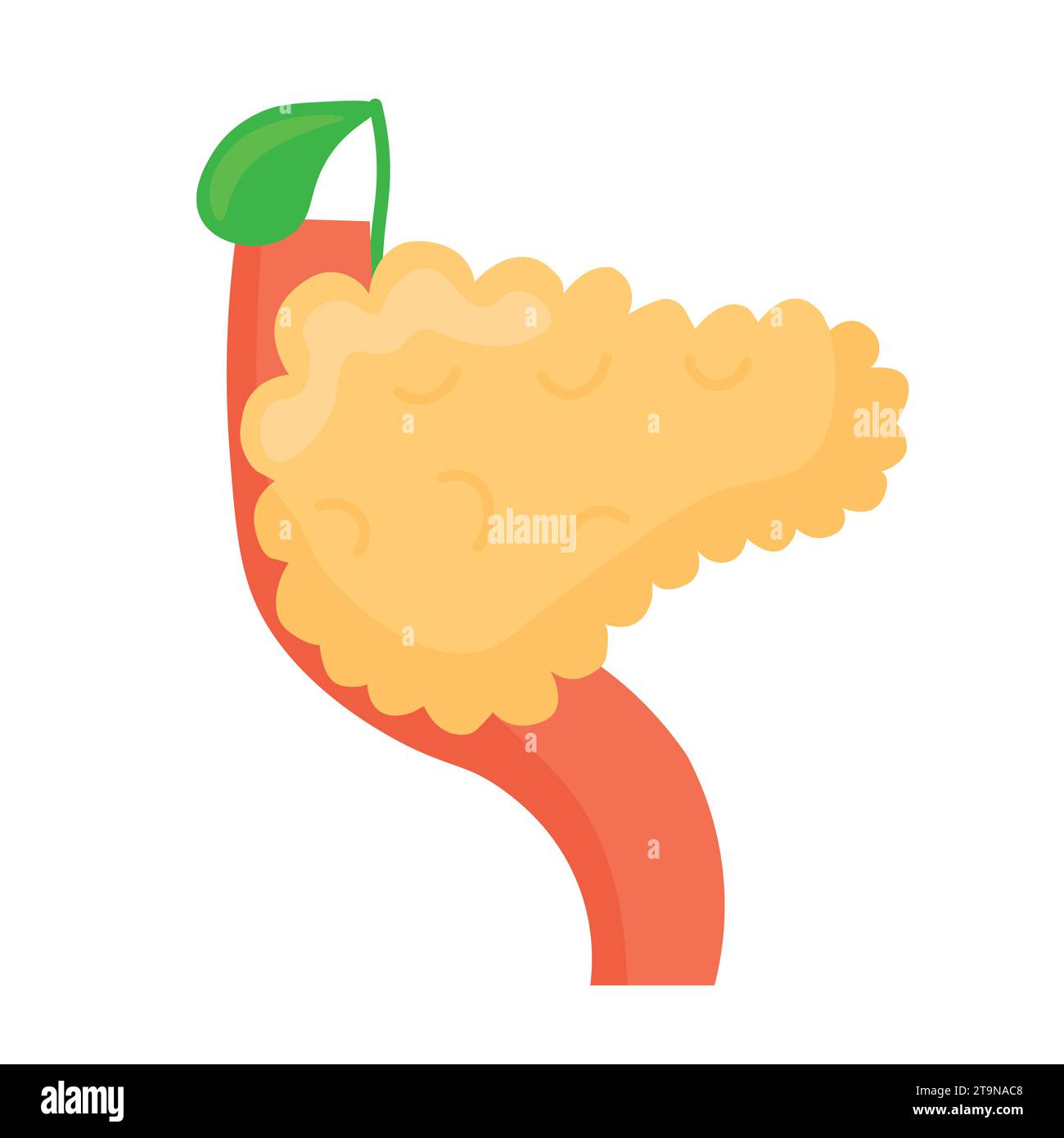 Flat isolated illustration of pancreas. Health awareness concept, human ...