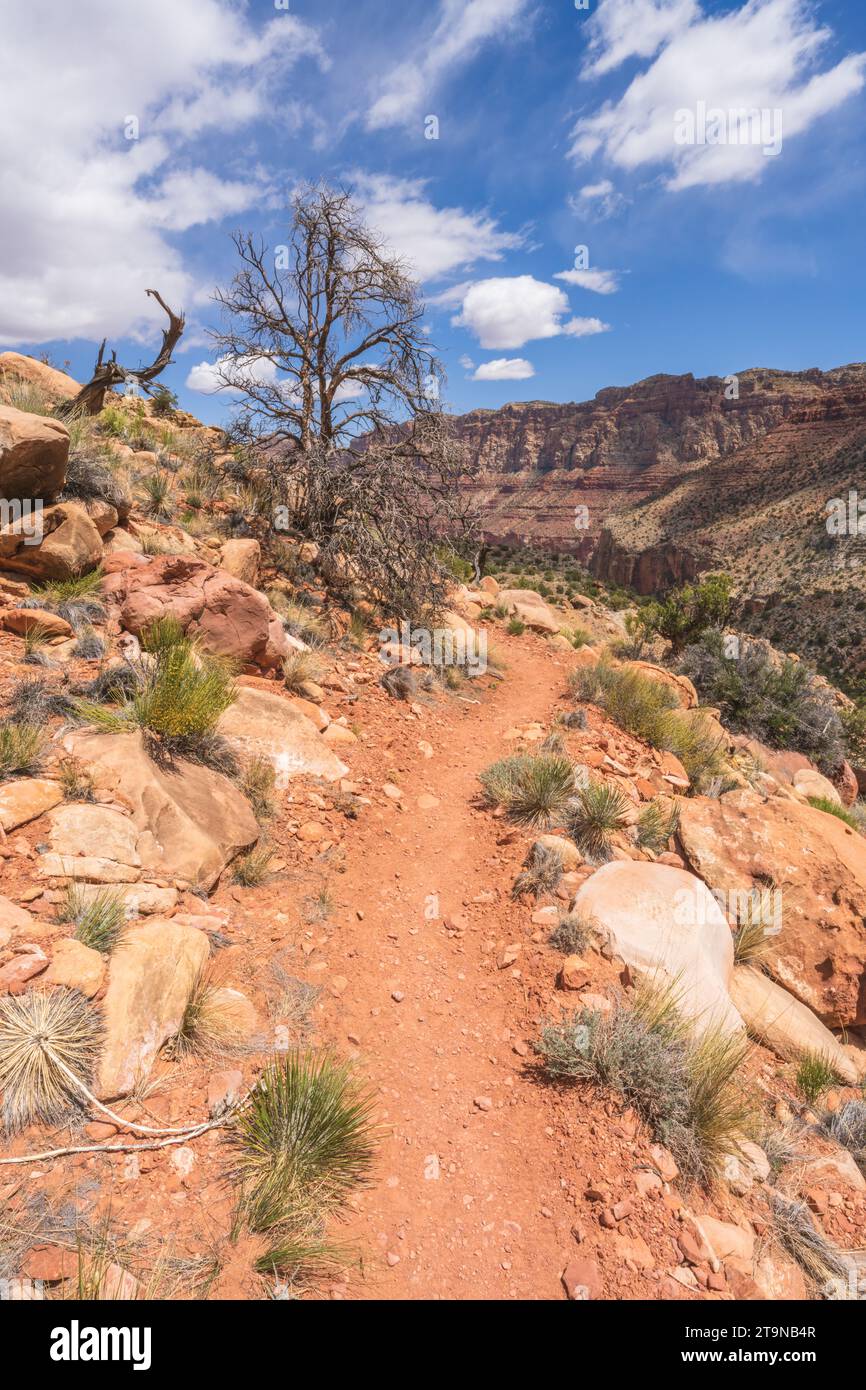 hiking the tanner trail in grand canyon national park in arizona, usa ...