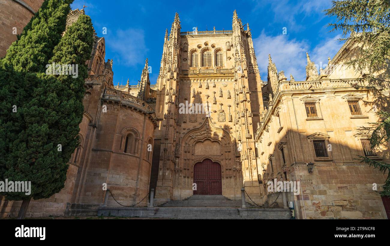 Alphanumeric characters hi-res stock photography and images - Alamy