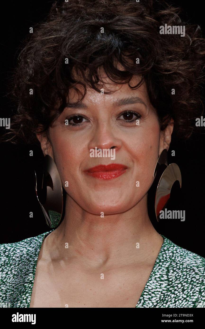 Maeve Jinkings attends the 20th Marrakech International Film Festival ...