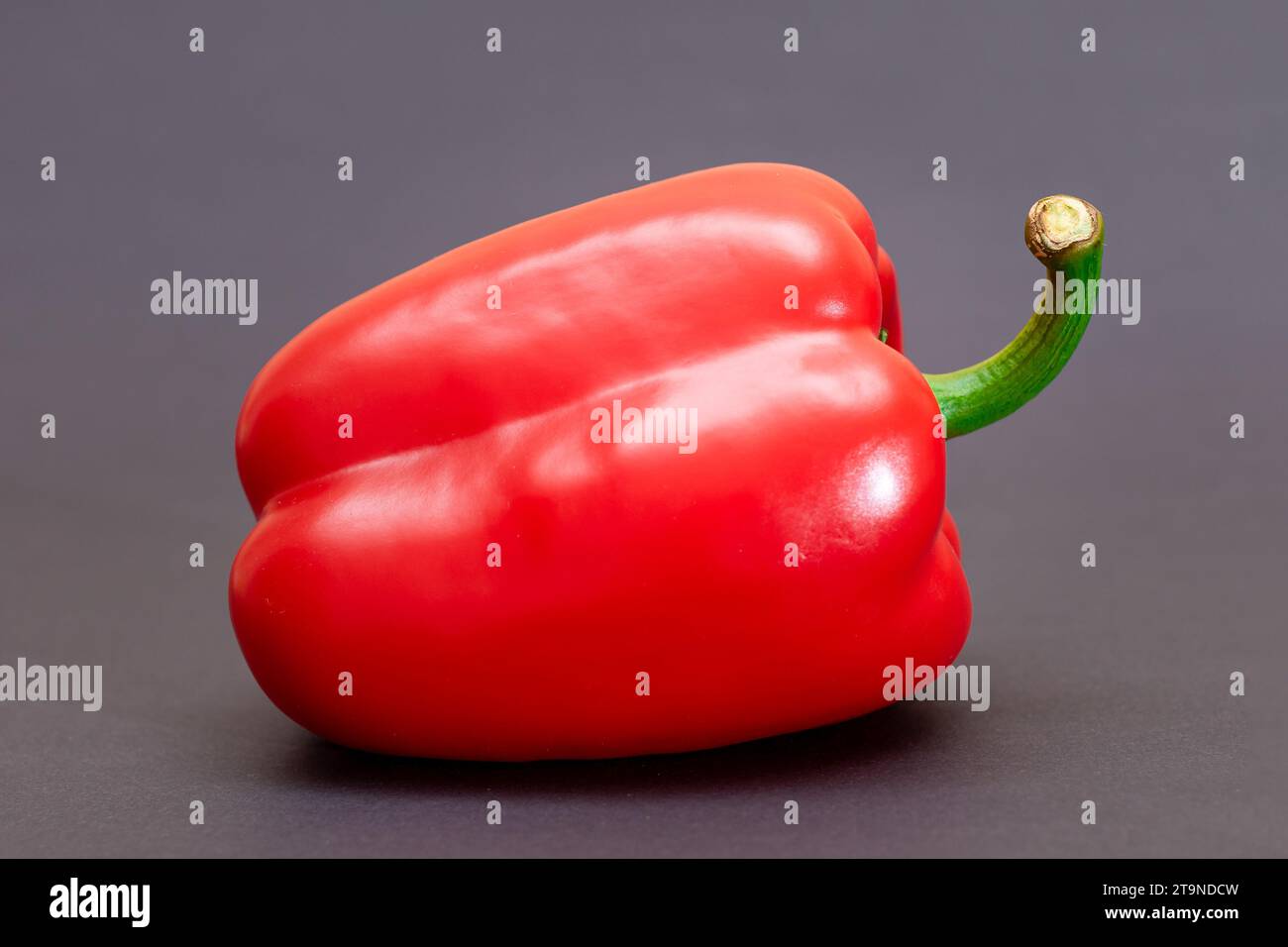 Fresh Red Sweet Bell Pepper on Black Background Stock Photo - Alamy