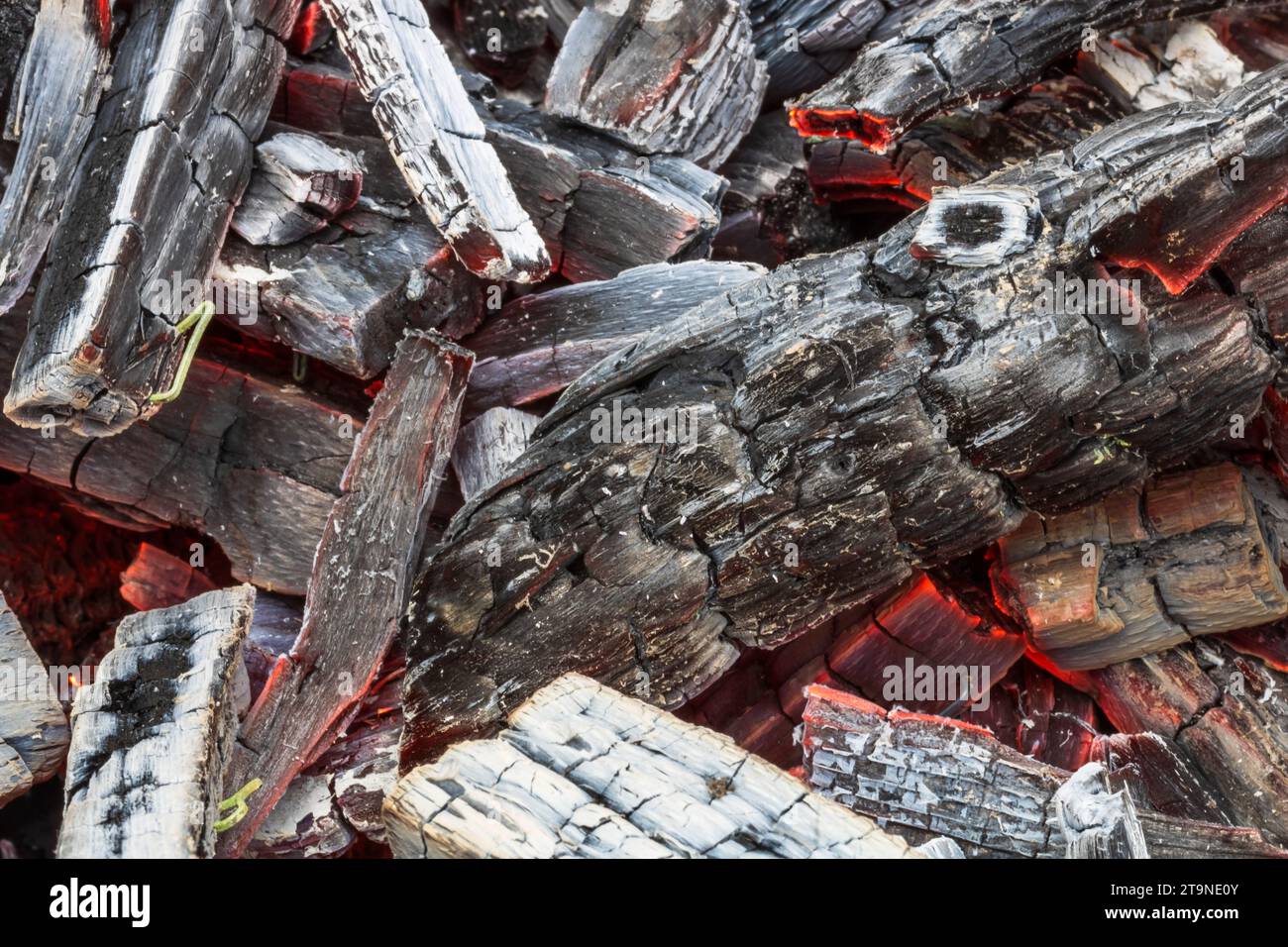 Burning wood chips forming coal. Barbecue preparation, fire before ...