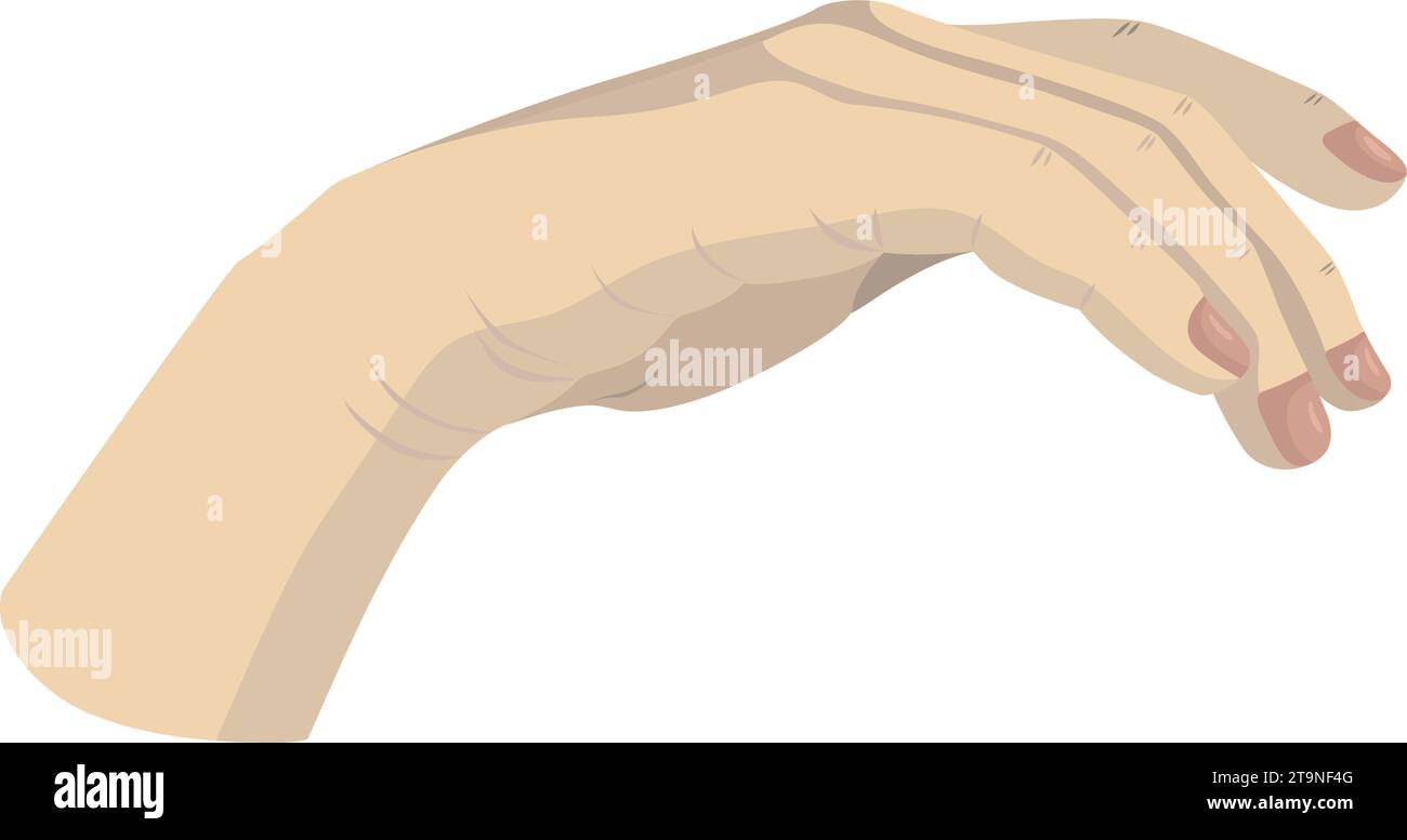 Vector illustration of human hand Stock Vector Image & Art - Alamy