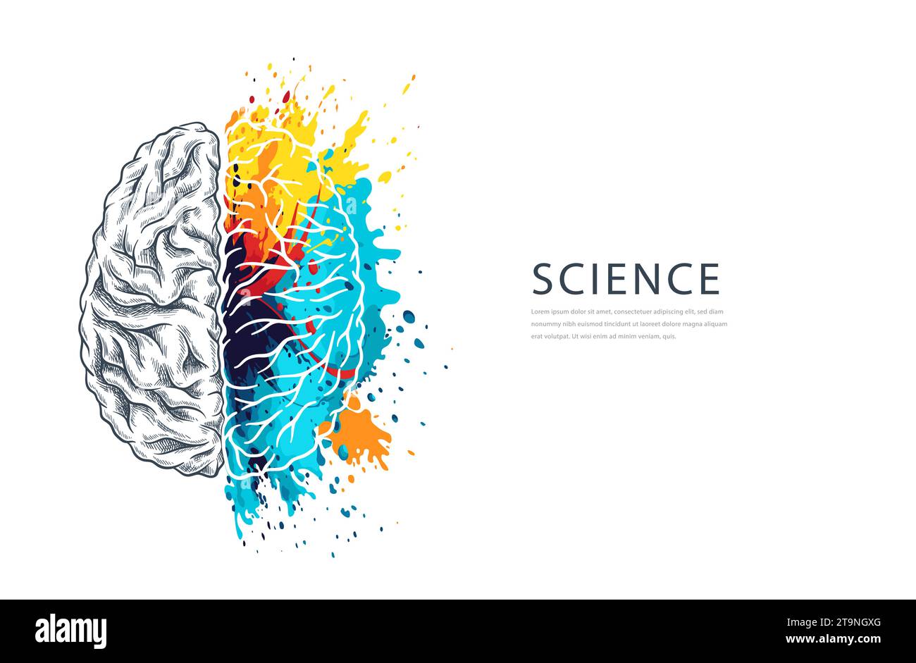 Brain splash vector poster Stock Vector Image & Art - Alamy