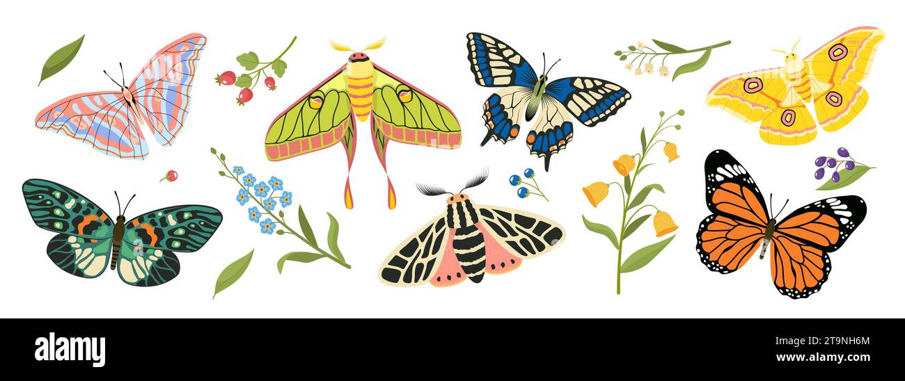 Set of butterflies vector Stock Vector Image & Art - Alamy