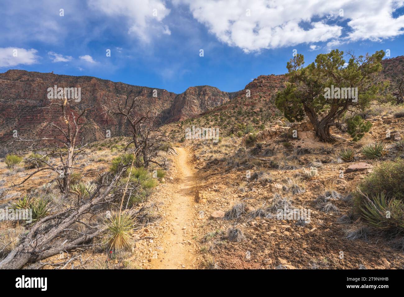 hiking the tanner trail in grand canyon national park in arizona, usa ...