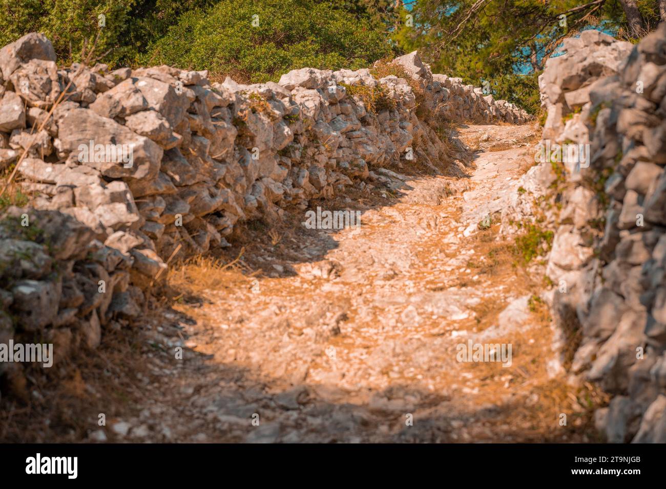 Typical stone walls for paths or pastures on the island of Losinj ...