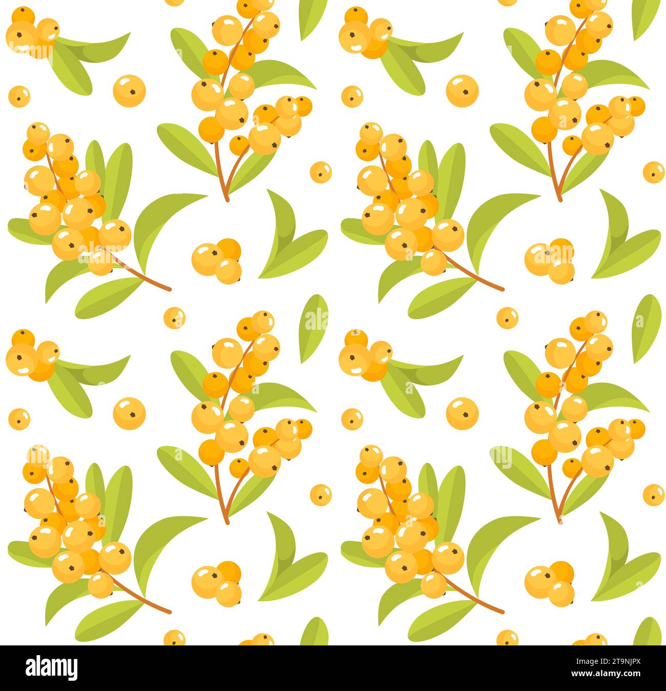 Branch fresh sea buckthorn Stock Vector Images - Alamy