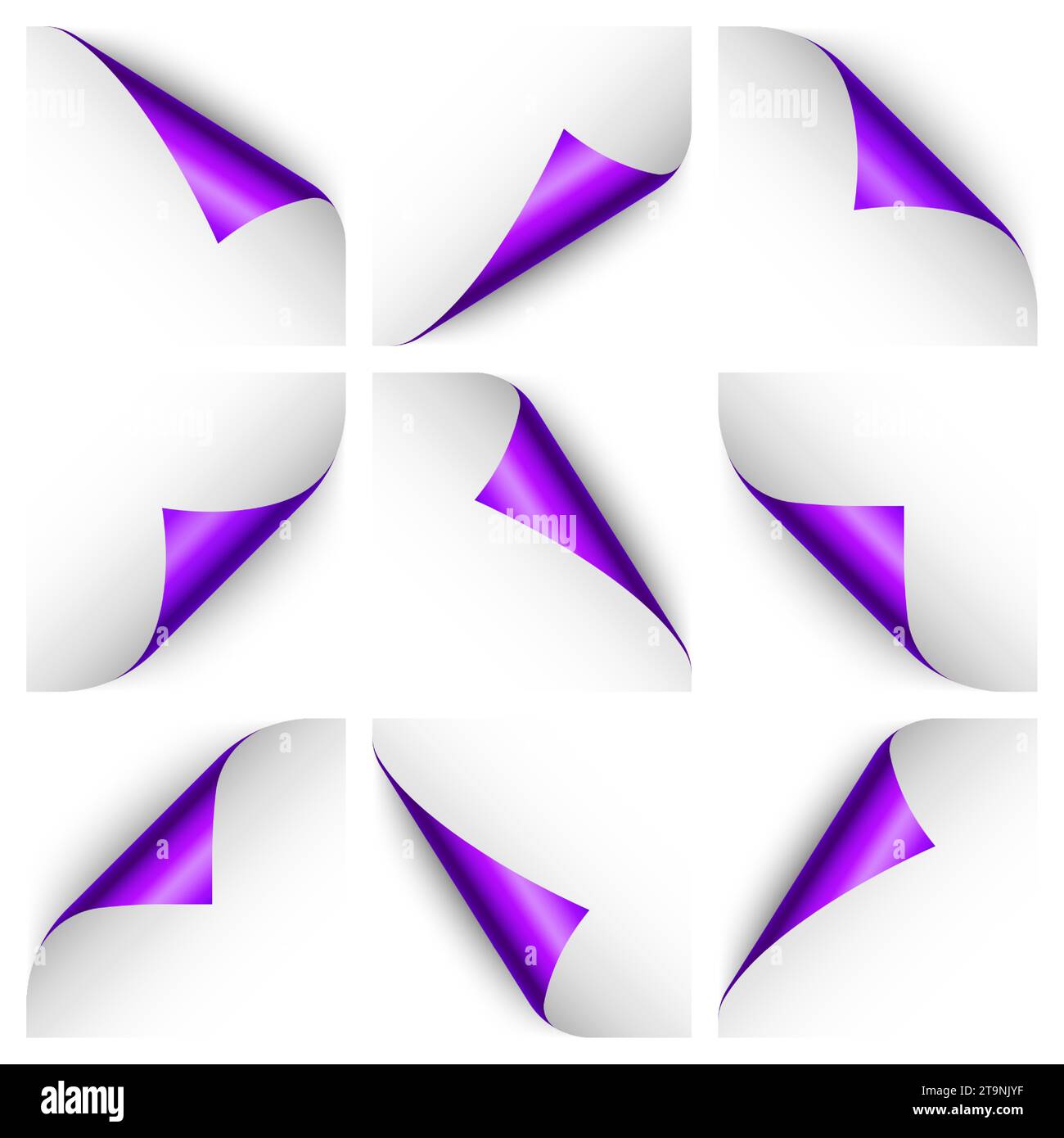 Set of violet paper curls. Curled page corner with shadow. Blank sheet ...