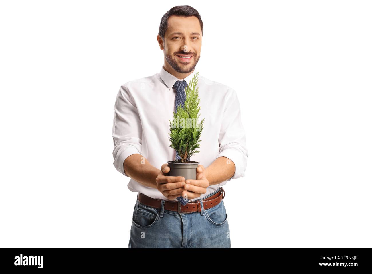 Young professional man holding a small evergreen tree in a pot isolated ...